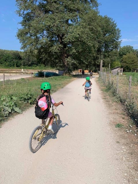 Nice: Discovery tree climbing for children in a natural setting - Detailed Breakdown of the Experience