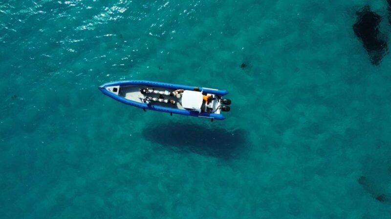 Nice: Lerins Islands Boat Tour with Snorkeling - Key Points