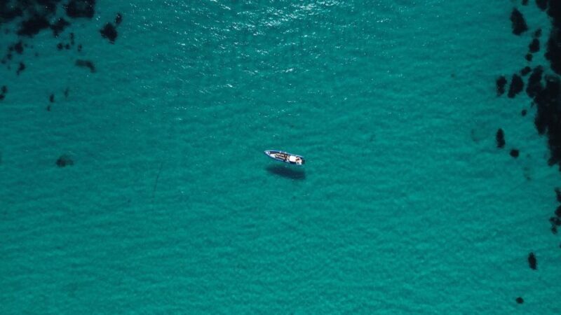 Nice: Lerins Islands Boat Tour with Snorkeling - Visiting the "Baie des Milliardaires"