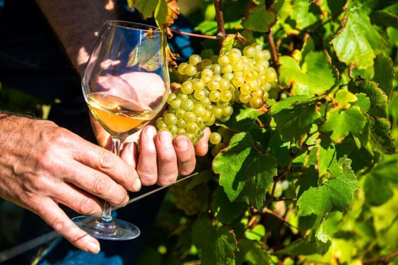 Nice: Provence Village Tour with Wine and Produce Tasting - Exploring the Charm of Provence from Nice