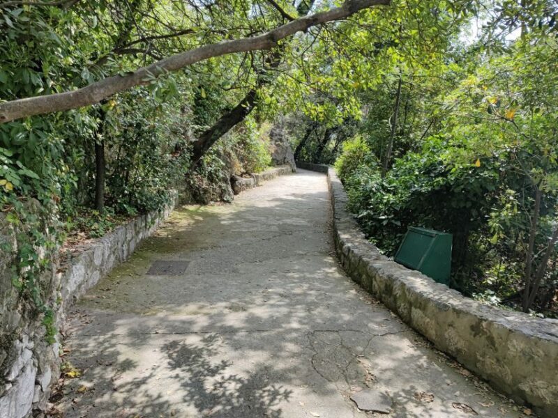 Nice: Sightseeing Walking Tour with certified tour guide - Key Points
