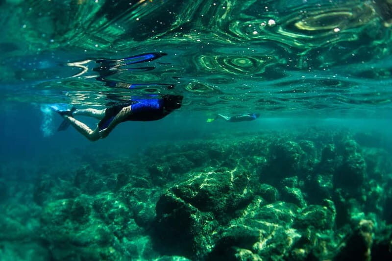 Nice: Snorkeling Speedboat Tour in Villefranche Bay - Key Points