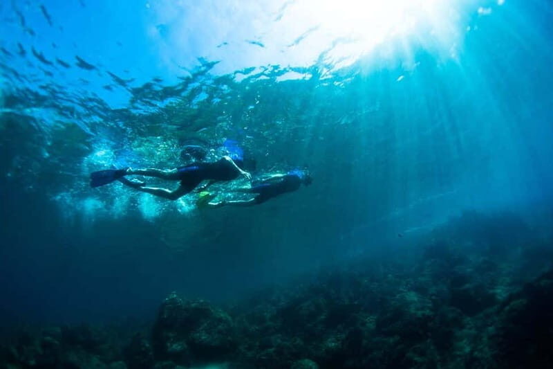 Nice: Snorkeling Speedboat Tour in Villefranche Bay - The Value Proposition