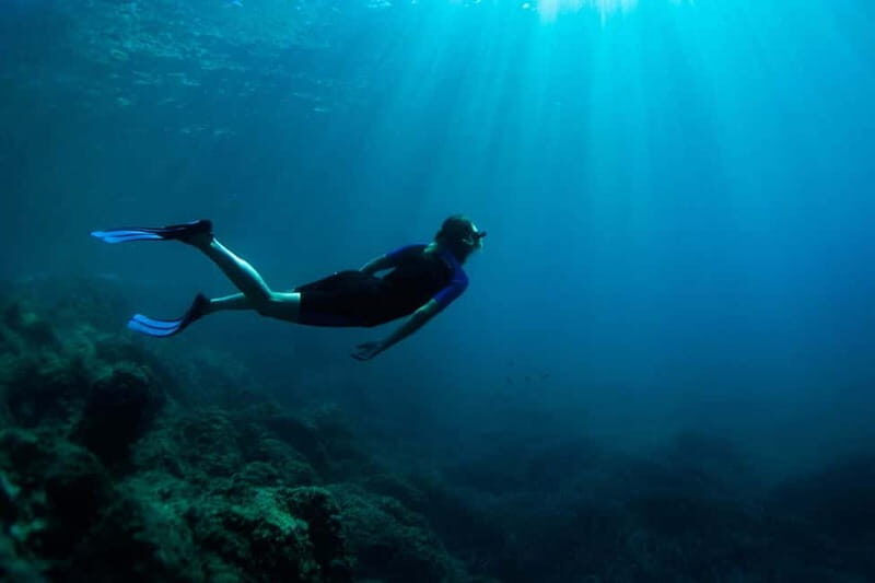 Nice: Snorkeling Speedboat Tour in Villefranche Bay - Who Will Love This Tour?