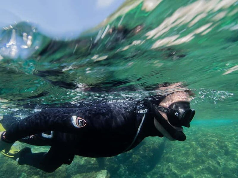 Nice: Snorkeling Speedboat Tour in Villefranche Bay - FAQs