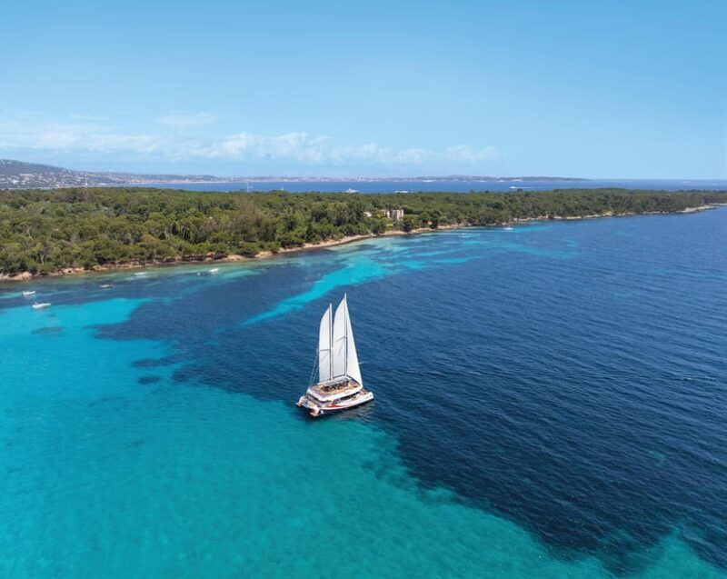 Nice : The Morning Discovery at Sea, Guided tour of the coastline on a Catamaran - Key Points
