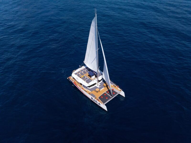 Nice : The Morning Discovery at Sea, Guided tour of the coastline on a Catamaran - Practical Details and What You Need to Know