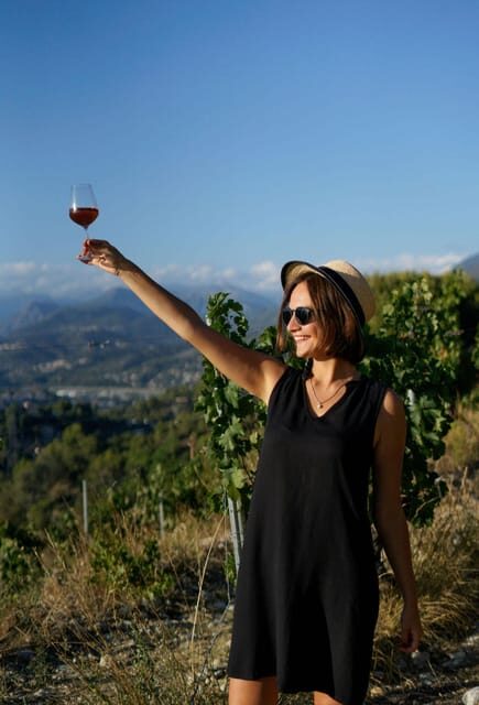 Nice: Vineyard Tour with Wine Tasting - An In-Depth Look at the Experience