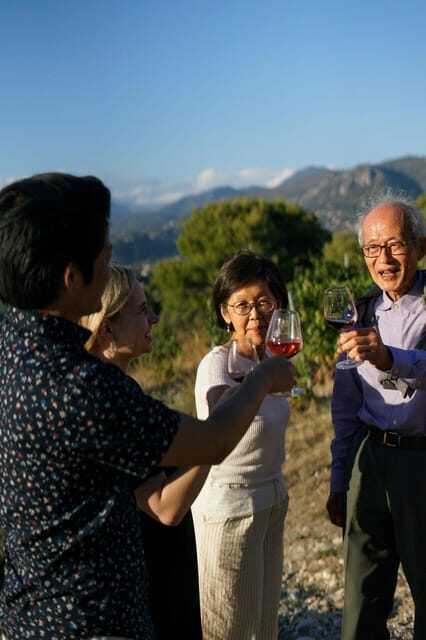 Nice: Vineyard Tour with Wine Tasting - Practical Tips for Travelers