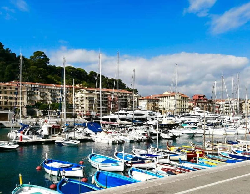 Nice: Walking Tour of Port Lympia & Antiques District - Who Would Enjoy This Tour?