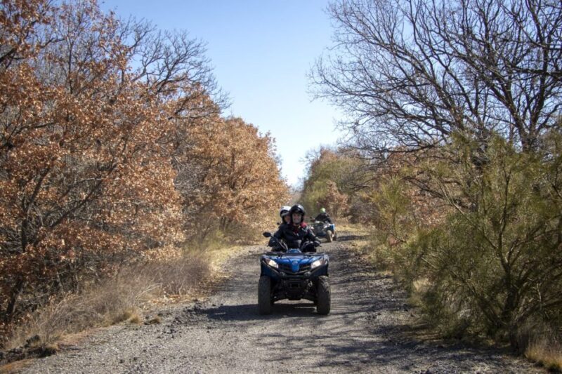 Nicolosi: Mt. Etna Guided Quad Tour Adventure - Key Points