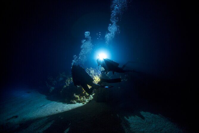 Night Dive Adventure in Oahu - Exploring the Night Underwater: A Review of Oahu’s Night Dive Adventure