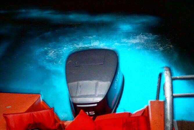 Night Excursion Experience at Luminous Lagoon - The Experience in Detail