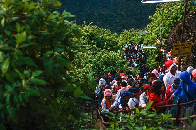 Night Hike to Adam's Peak - Who Should Consider This Tour?