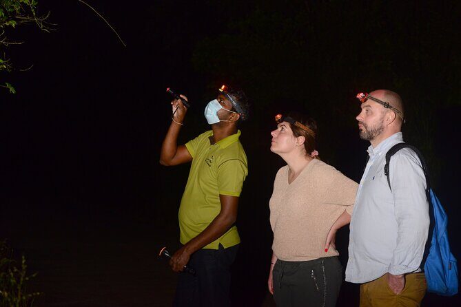 Night Hike to see Elusive & Rare Loris in Sigiriya - Why This Trail Is Special