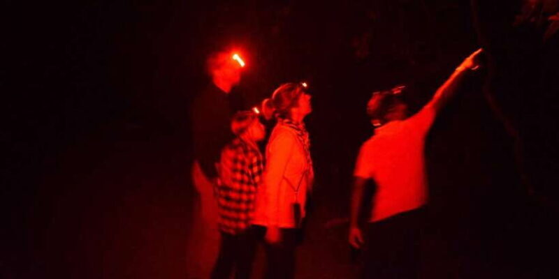 Night Hike to see Elusive & Rare Loris in Sigiriya - Reviews: What Travelers Say