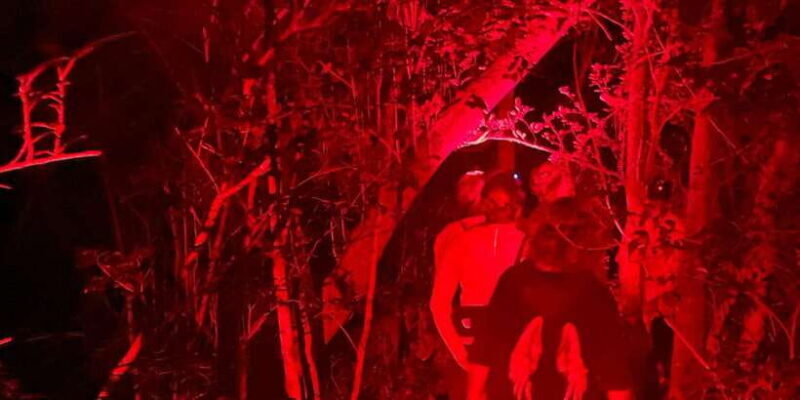 Night Hike to see Elusive & Rare Loris in Sigiriya - Final Thoughts: Is This Tour Right for You?