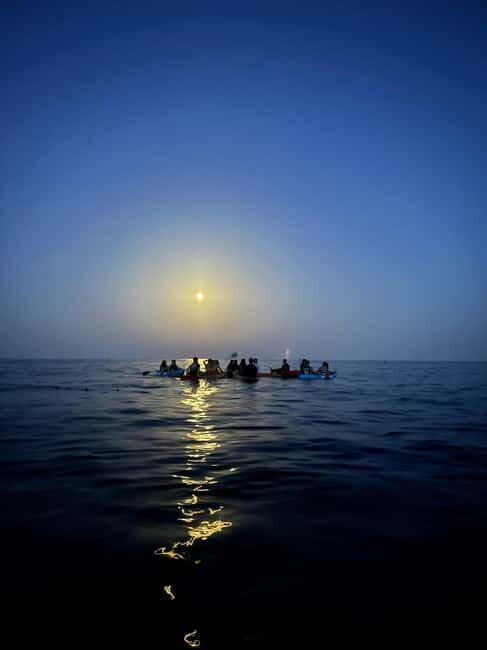 Night Kayak or Paddle Surfing Excursion - Key Points