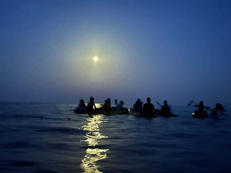 Night Kayak or Paddle Surfing Excursion - Why You’ll Love This Night Paddling Adventure