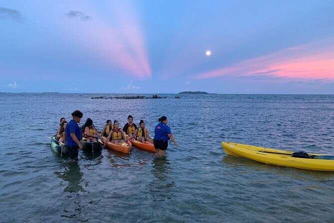 Night Kayaking Experience on Bioluminescent Lagoon in Fajardo - Final Thoughts