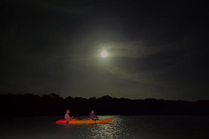 Night Mangrove Kayak Tour - Exploring the Bonaire Night Kayak Experience