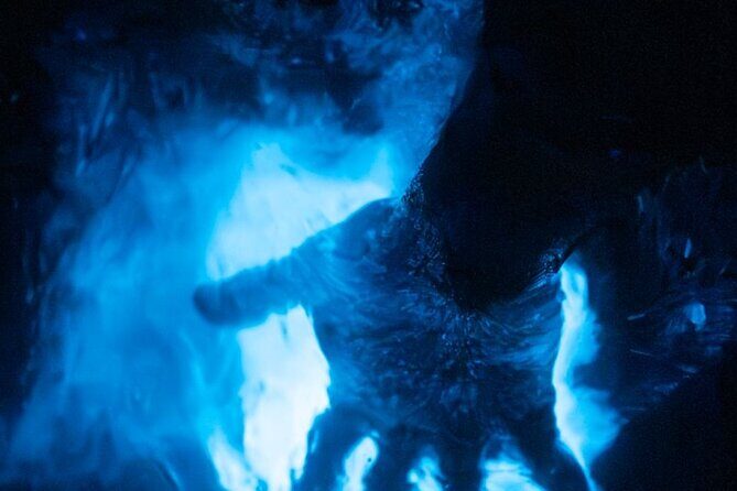 Night Mangrove Kayak Tour - Who Should Consider This Tour?