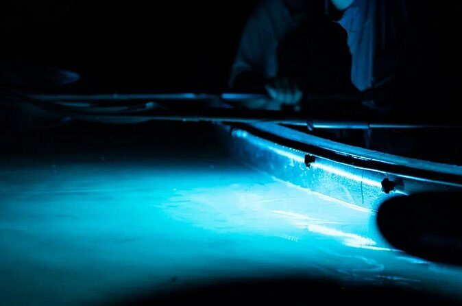 Night Mangrove Kayak Tour - Final Thoughts