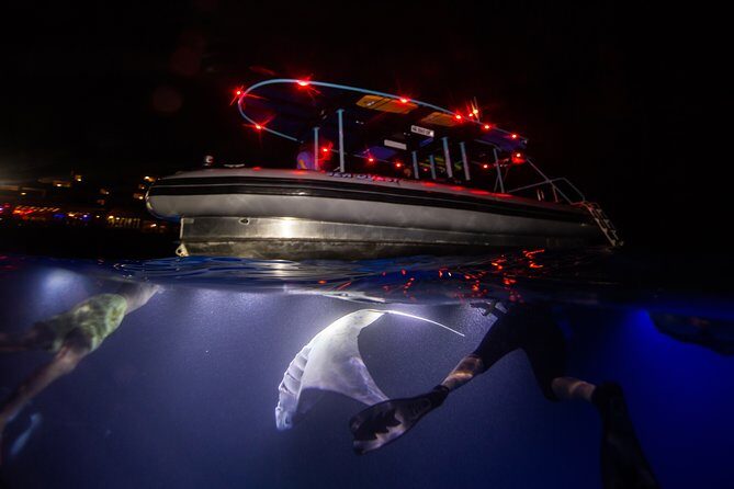 Night Manta Ray Experience - An In-Depth Look at the Night Manta Ray Experience