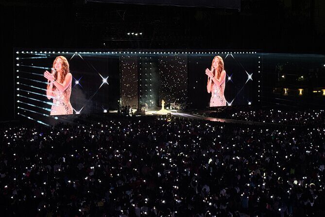 Night of VIP Concert in Mexico City with Private Transfer - An In-Depth Look at the VIP Concert Experience