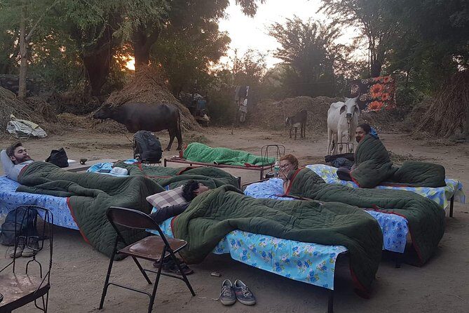 Night Out in Jodhpur - Key Points