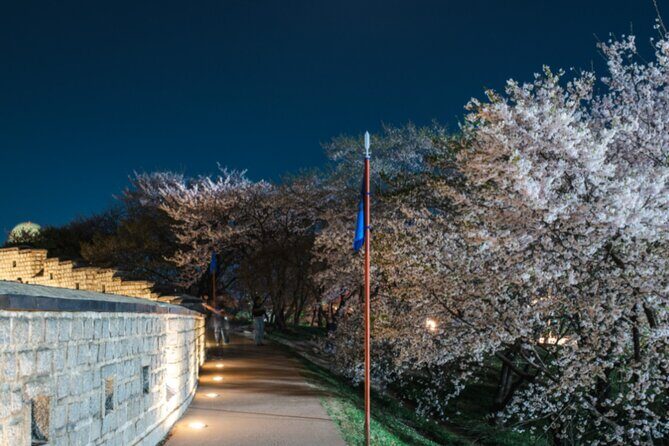 [Night Private Tour] Suwon Cherry Blossom & Hwaseong Fortress - FAQs