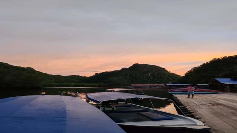 Night Safari Mangrove Tour with Guide & BBQ Buffet - Key Points