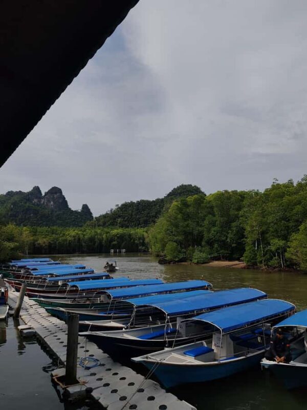 Night Safari Mangrove Tour with Guide & BBQ Buffet - Introduction to the Experience