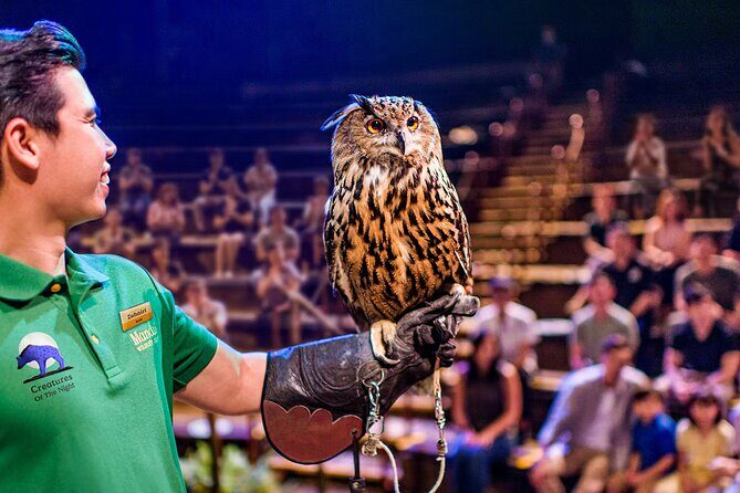 Night Safari Tickets with Tram Ride - An Introduction to the Night Safari Experience