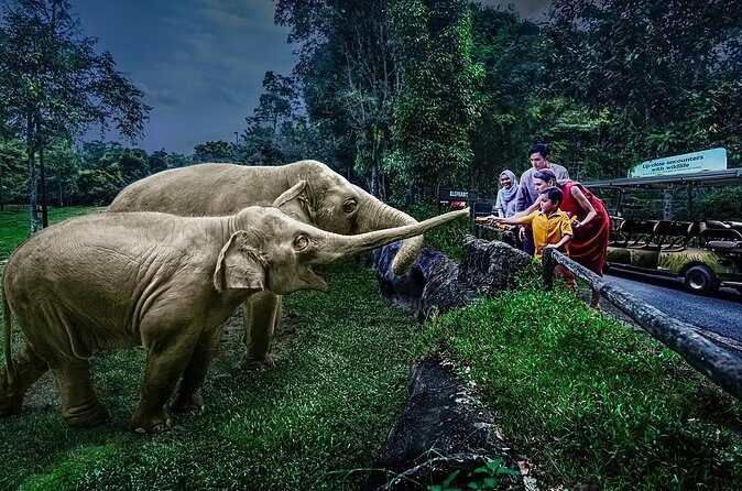 Night Safari Tickets with Tram Ride - Final Word