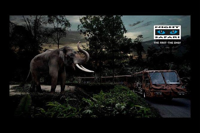 Night Safari Tour with Transfer - What is the Night Safari Tour All About?