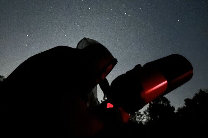 Night Sky Stargazing Tour in Punta Gorda Florida - The Experience: What You Can Expect on the Tour
