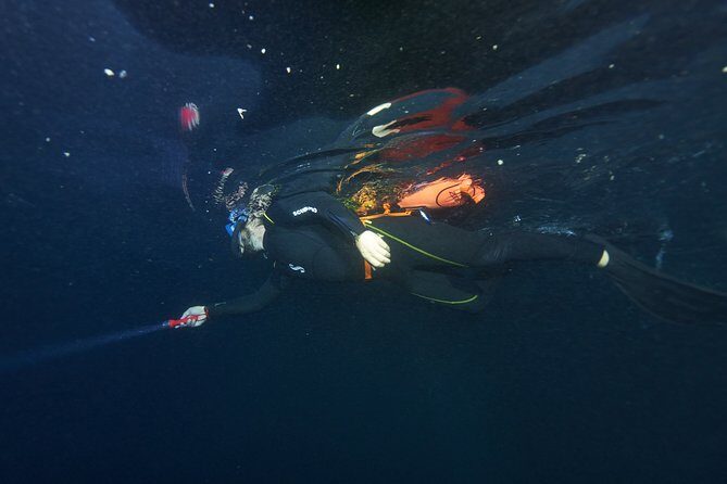 Night Snorkeling - Final Words