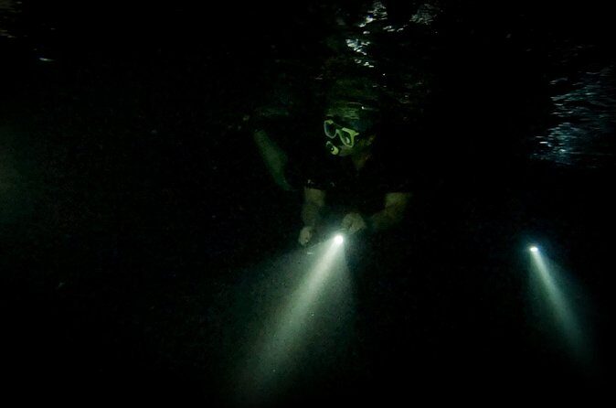 Night Snorkeling Adventure - Practical Tips for Your Night Snorkeling Adventure