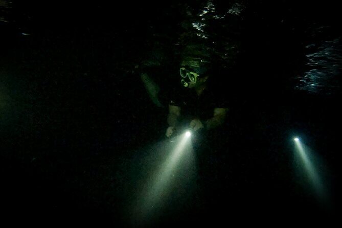 Night Snorkeling Adventure - The Sum Up
