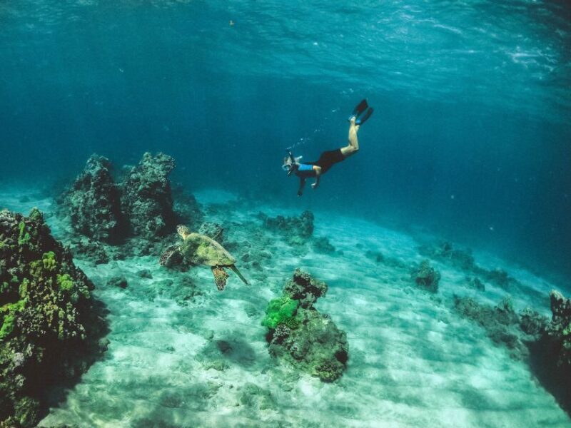 Night Snorkeling in Mirissa - Final Thoughts: Who is This Tour Perfect For?