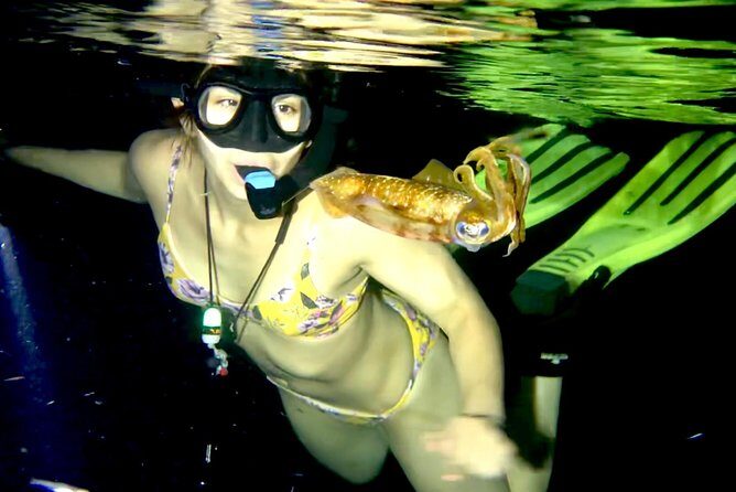 Night Snorkeling - Observation of octopus and other species - A Deep Dive into the Night Snorkeling Experience