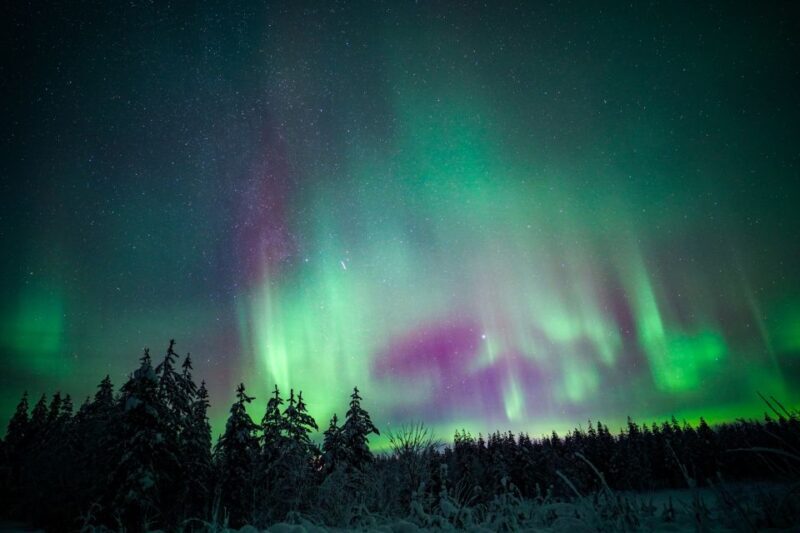 Night Snowshoeing Adventure under the Northern Lights - What to Expect from the Tour
