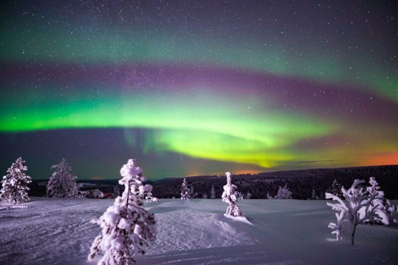Night Snowshoeing Adventure under the Northern Lights - Who Will Love This Tour?