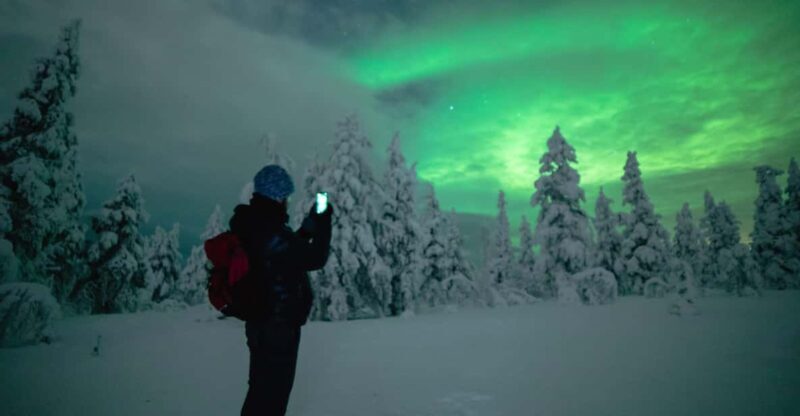 Night Snowshoeing Lapland Experience - An In-Depth Look at the Night Snowshoeing Experience in Rovaniemi