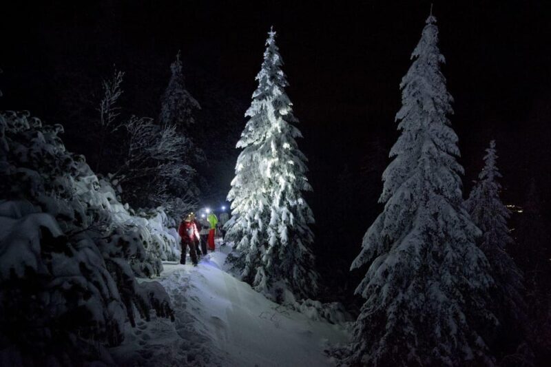 Night Snowshoeing Lapland Experience - FAQ