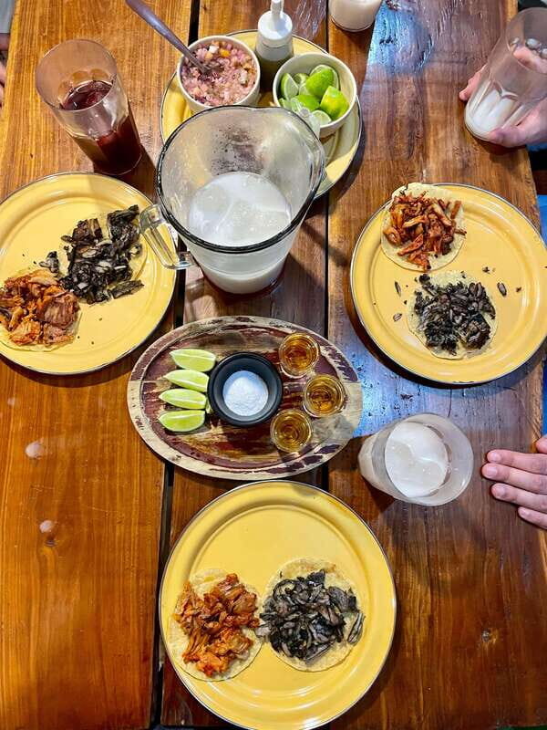Night Tacos & Marquesitas With a Cancún Native - FAQ: Practical Questions About the Tour