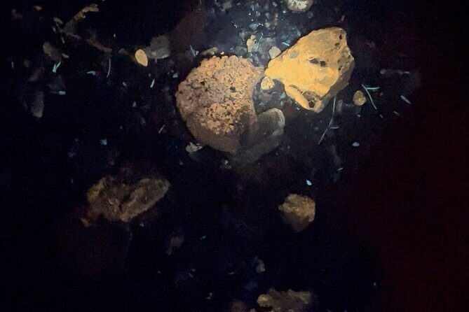 Night time fluorescent Rockhounding Tour - Authentic Perspectives and Real Experiences