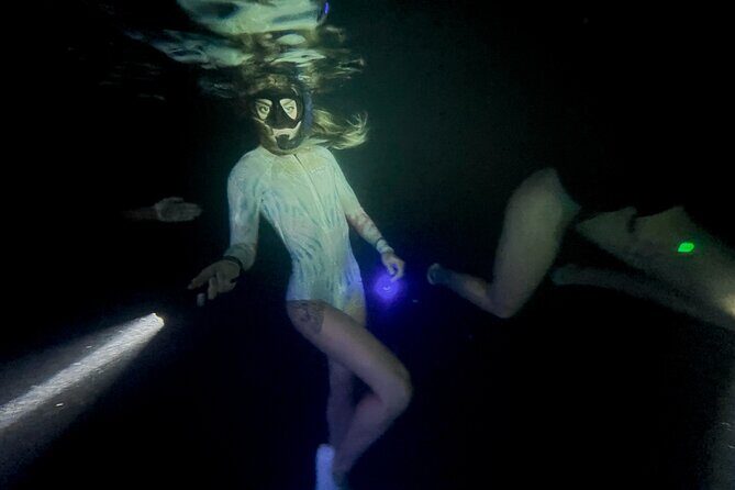 Night-Time Snorkel at TurtleTown with Stars, Lights, and Photos - Final Thoughts: Is It Worth It?