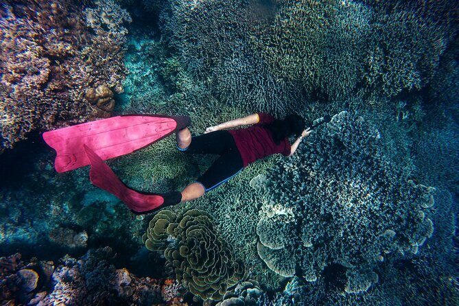 Night-Time Snorkel at TurtleTown with Stars, Lights, and Photos - Frequently Asked Questions